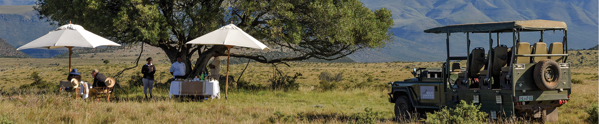 Bush Breaks, Safari Holidays & Escapes | Thompsons Holidays