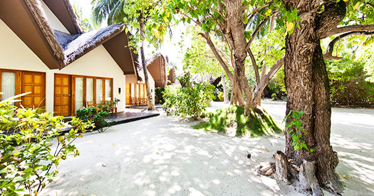 December Holiday Package Deals 2023 | Thompsons Holidays