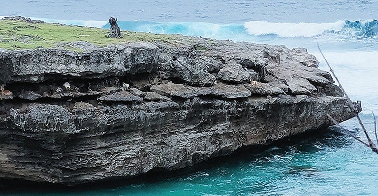 Full Day Island Tour Rodrigues