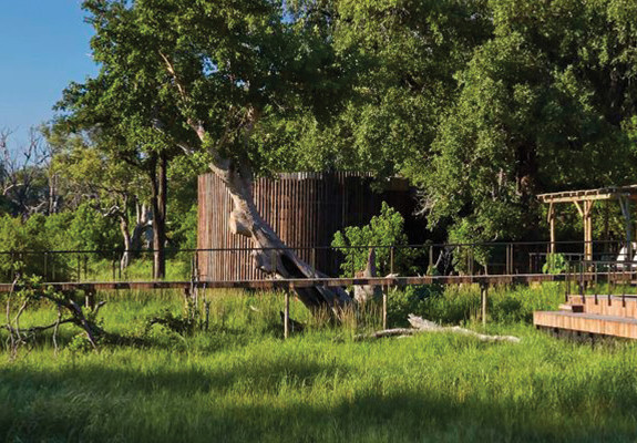 5* Xigera Safari Lodge - Okavango Delta Package (4 Nights)