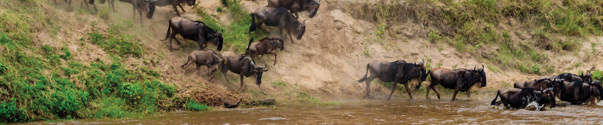 6 Days Northern Safari Circuit - Tanzania Package (5 Nights)