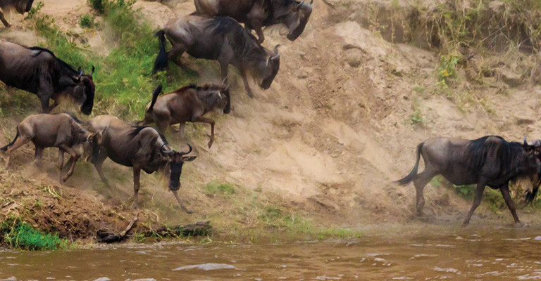 6 Days Northern Safari Circuit - Tanzania Package (5 Nights)