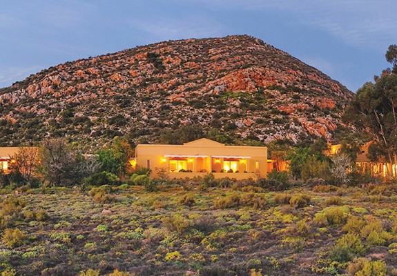 5* Tilney Manor - Sanbona Wildlife Reserve - Near Montagu Package (2 ...
